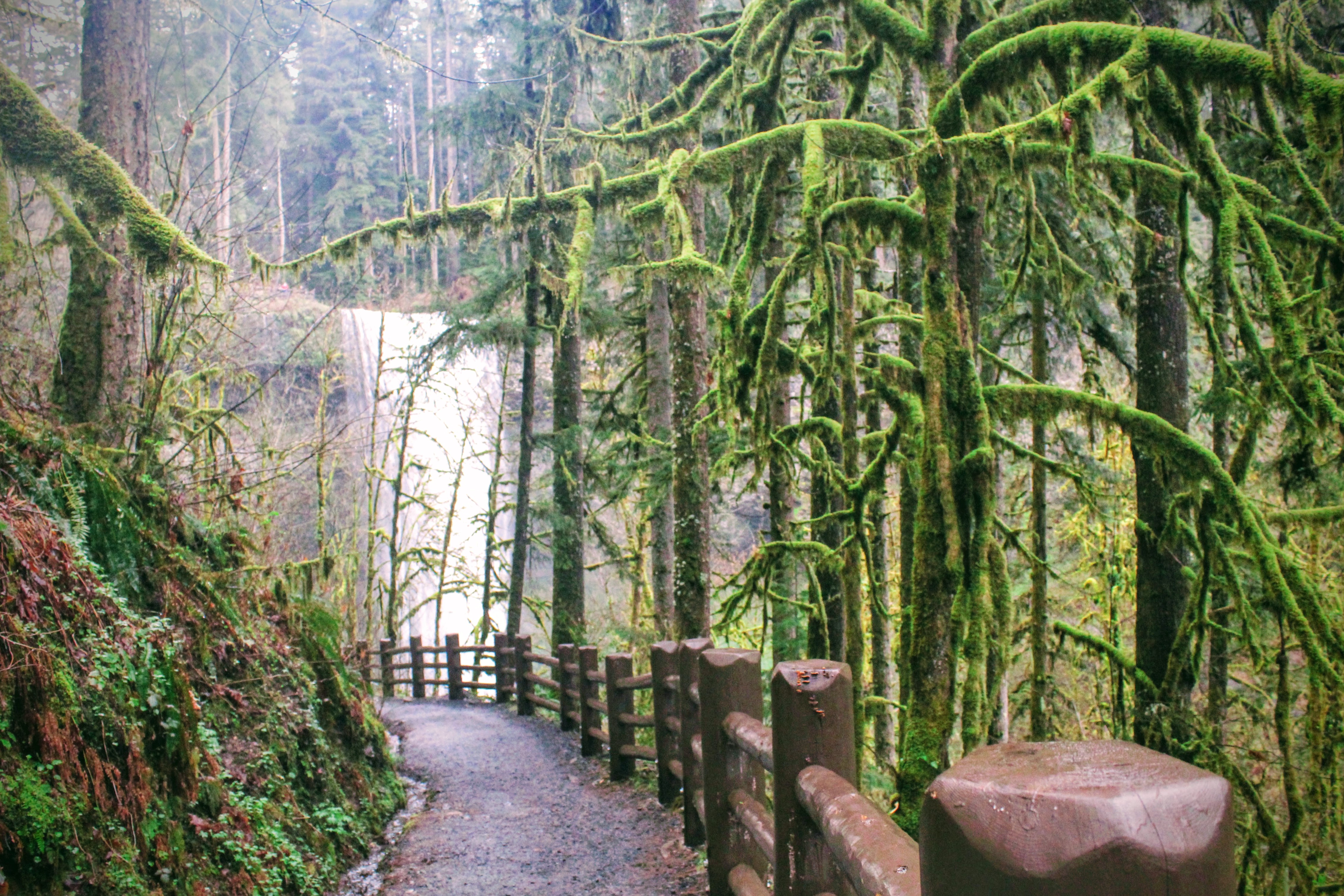 A Quick Guide to Silver Falls – The Zip Jar