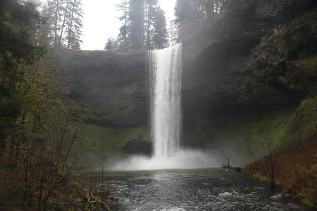A Quick Guide to Silver Falls – The Zip Jar